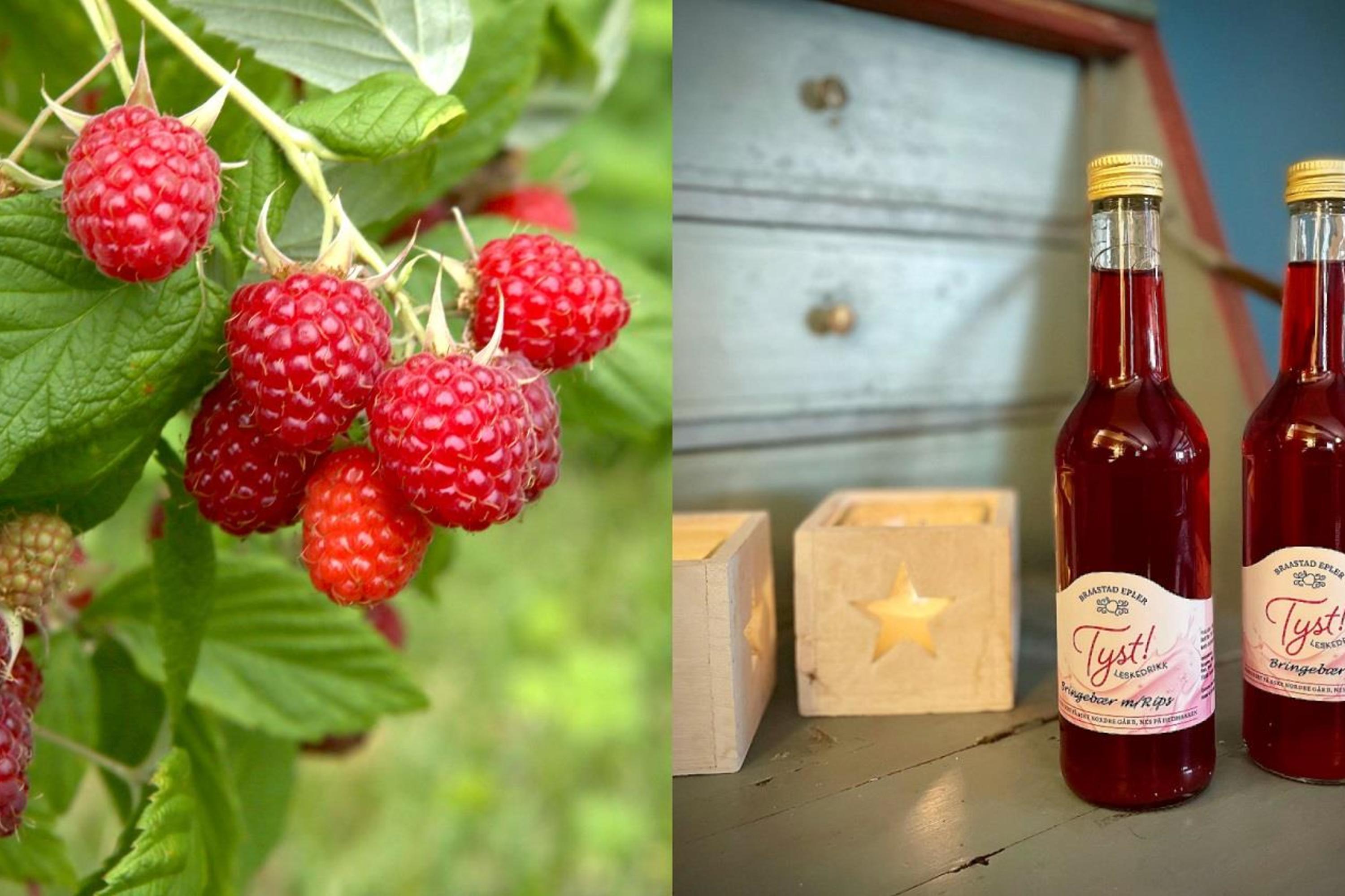 Braastad Epler - Sesongåpen Gardsbutikk - Visit Øst-Norge